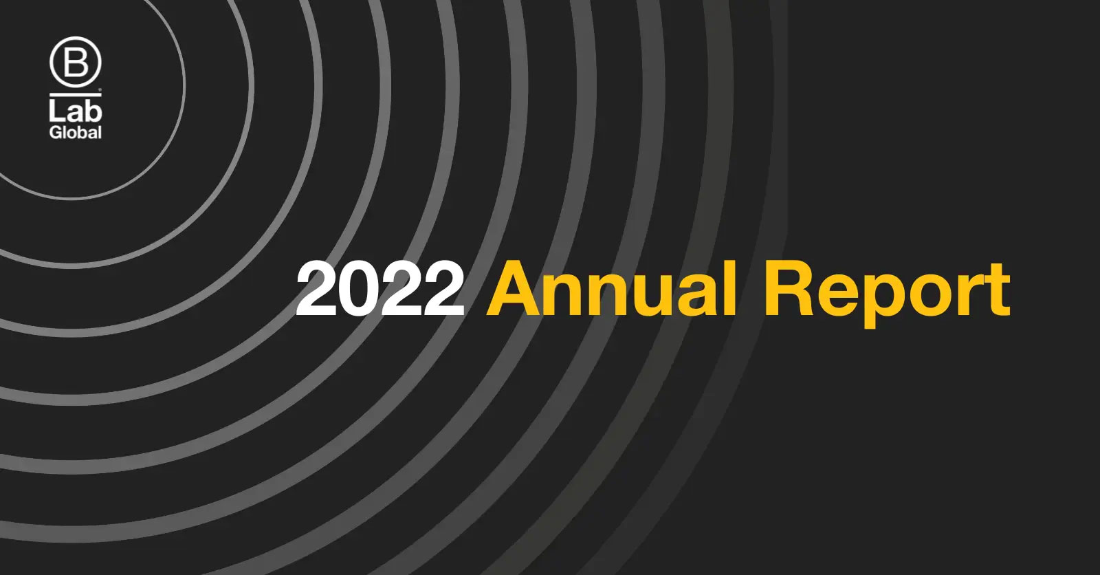 Launching B Lab Global's 2022 Annual Report - Bcorpsea